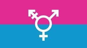 Transgender (Ottawa) Flag – Irving Rivers